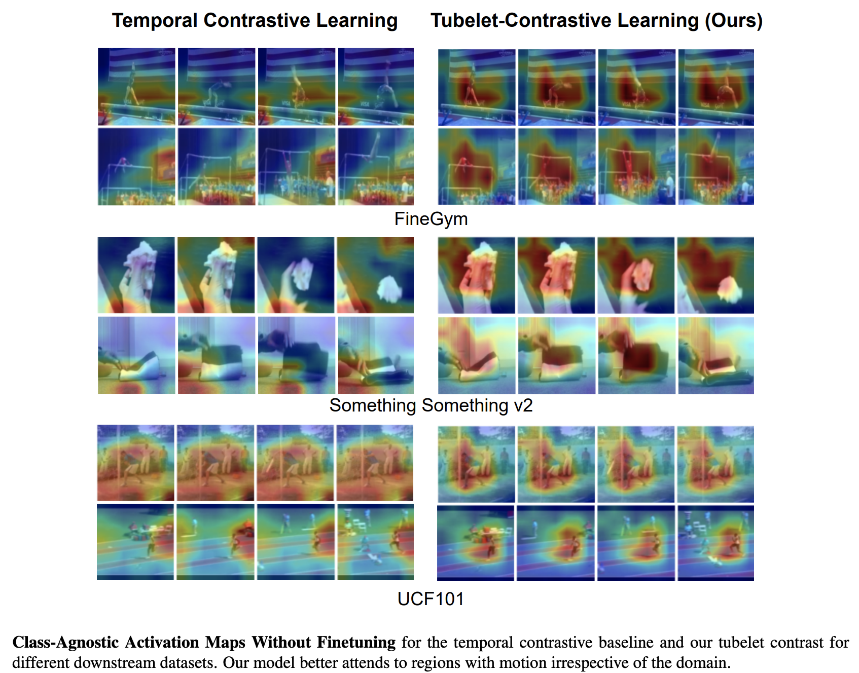 Tubelet Contrastive Learning