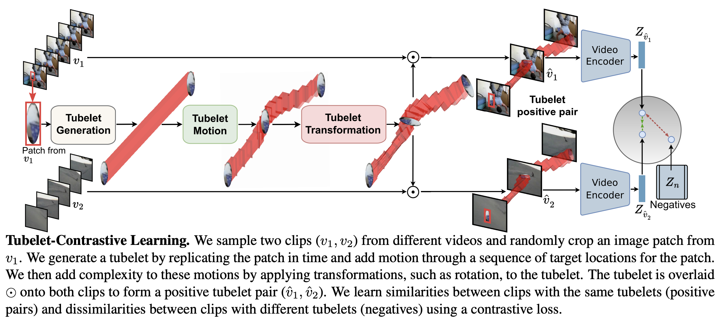 Tubelet Contrastive Learning