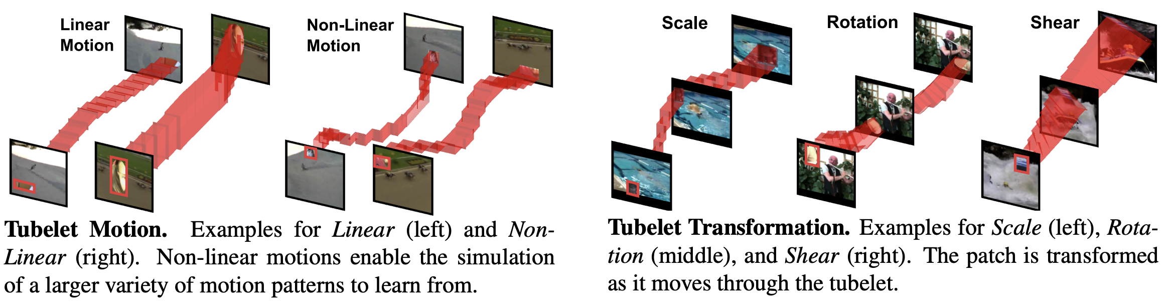 Tubelet Contrastive Learning